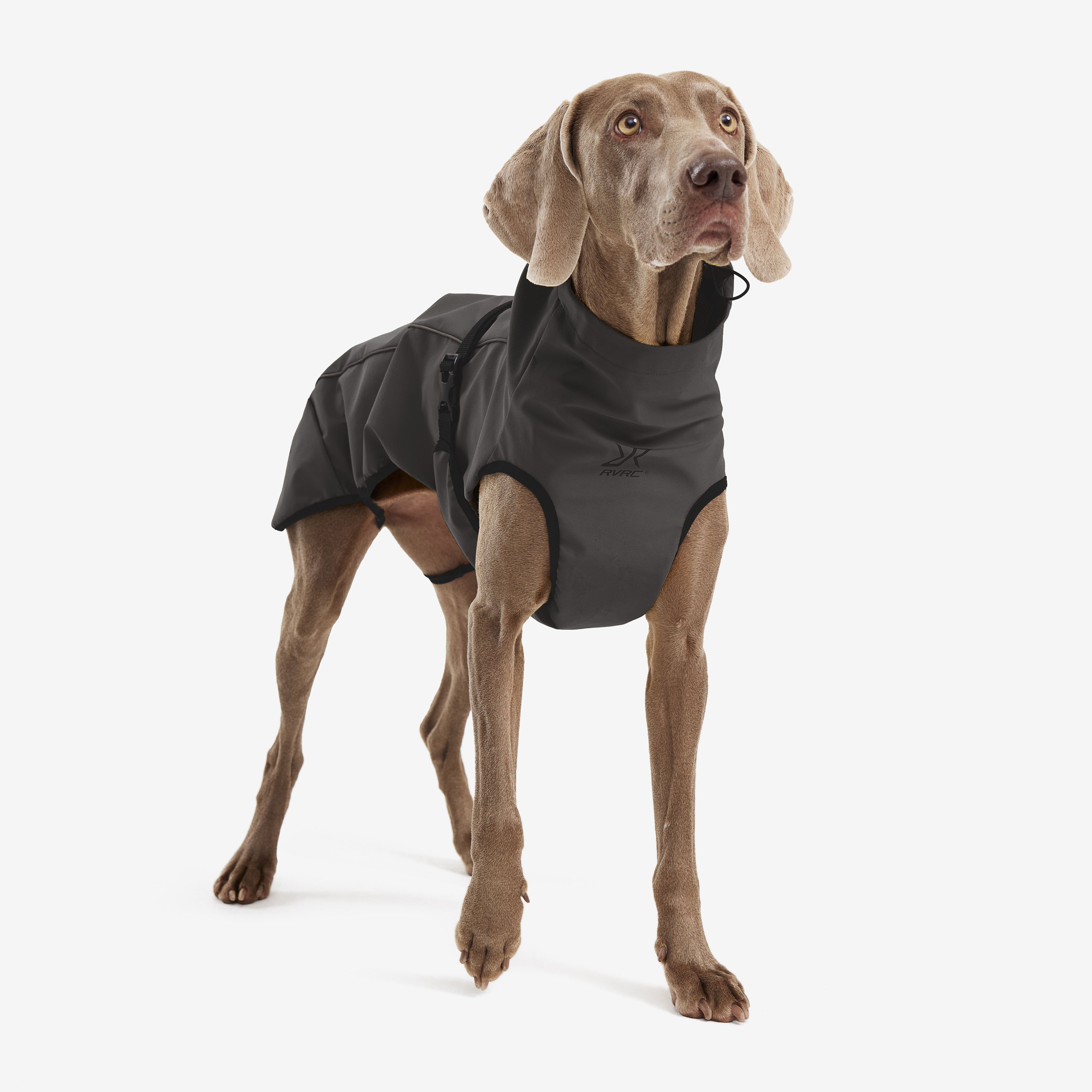Cyclone Dog Jacket Dog Obsidian | RevolutionRace