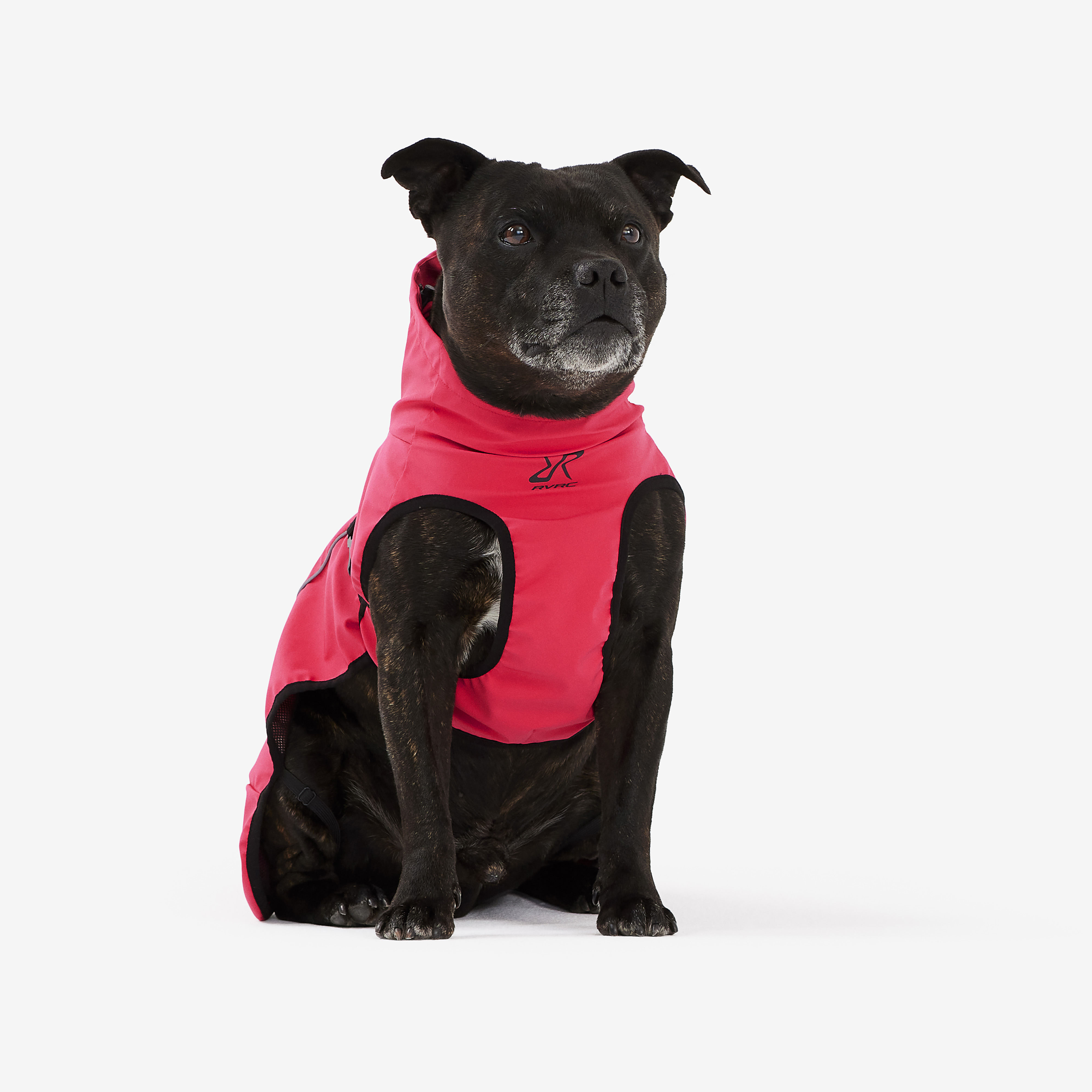 Cyclone Dog Jacket Hund Azalea | RevolutionRace