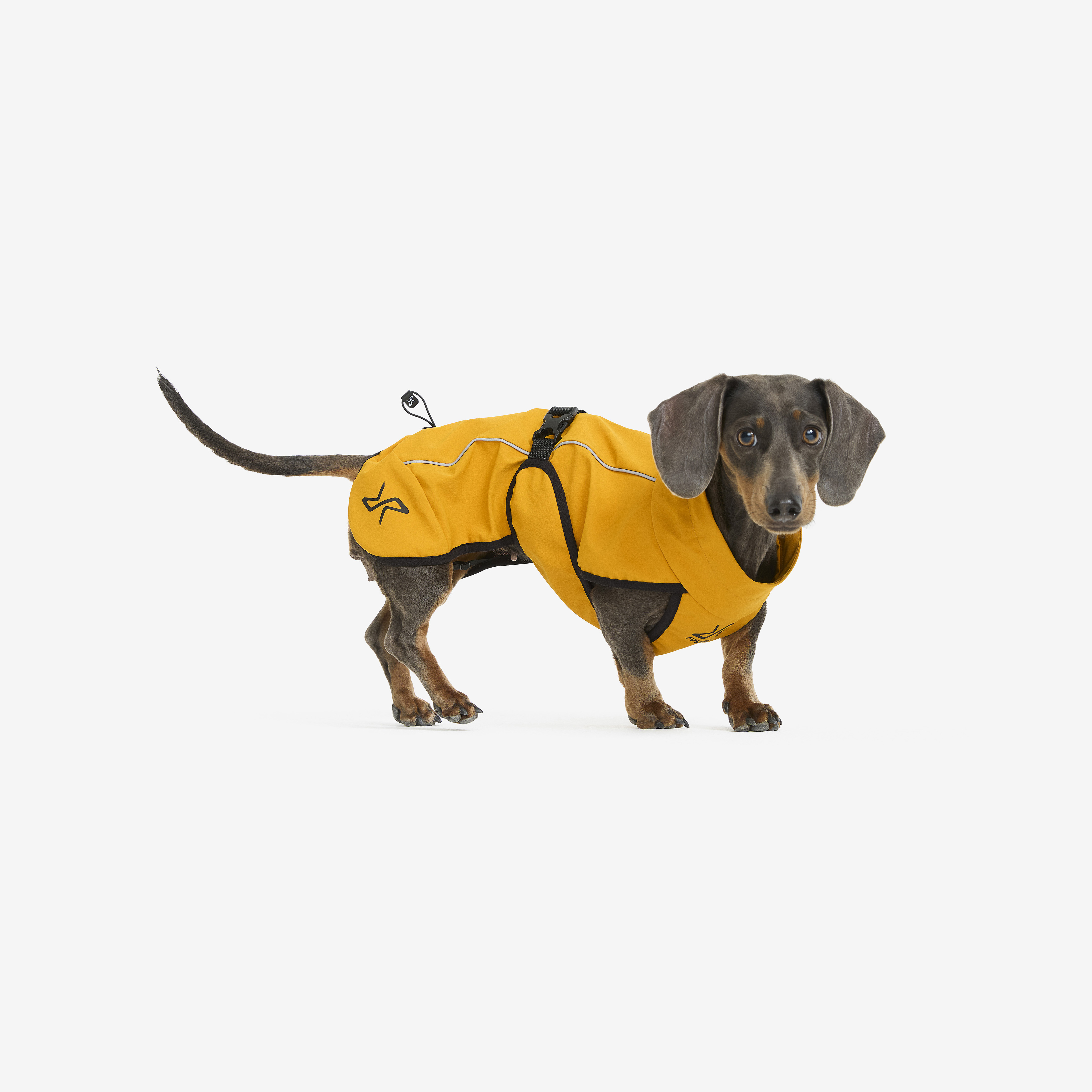 Cyclone Dog Jacket Hund Golden Yellow | RevolutionRace